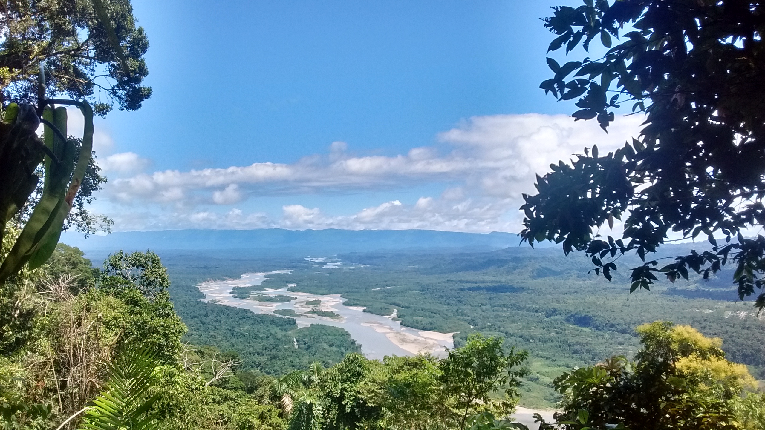 Photography Wild Nature 9days — Manu Jungle Trips