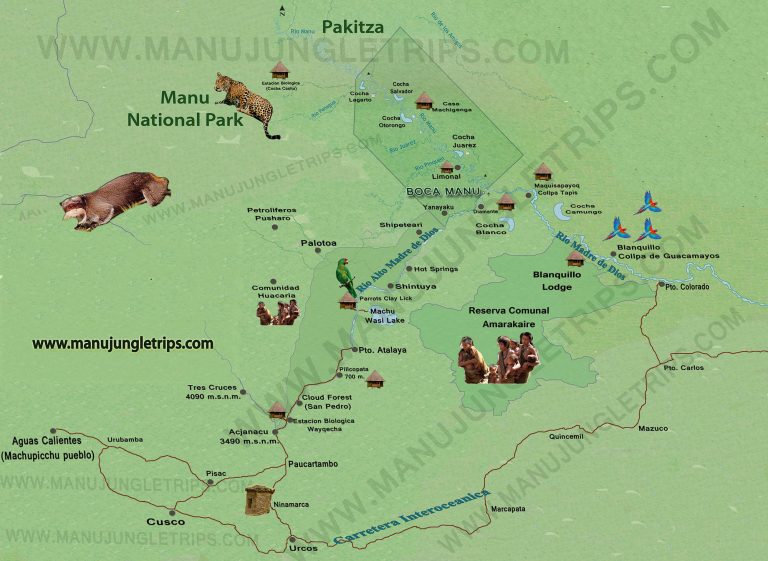 Manu Jungle Trips - SANDOVAL LAKE – TAMBOPATA TOURS