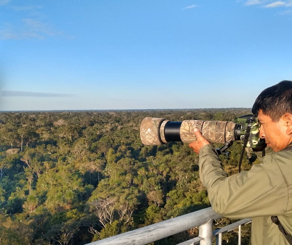 Amazon Wildlife -Why it Is Important to Visit Manu Park